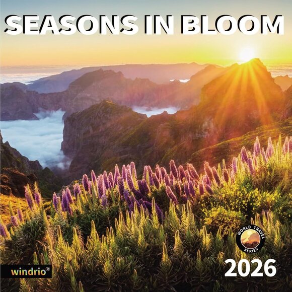 Other | 226 Wall Calendarcalendar 2026 July 2025 December 2026 Wall ...